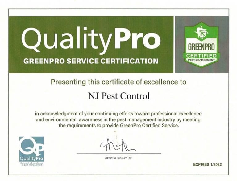 Residential Pest Control | Home Exterminators | NJ Pest