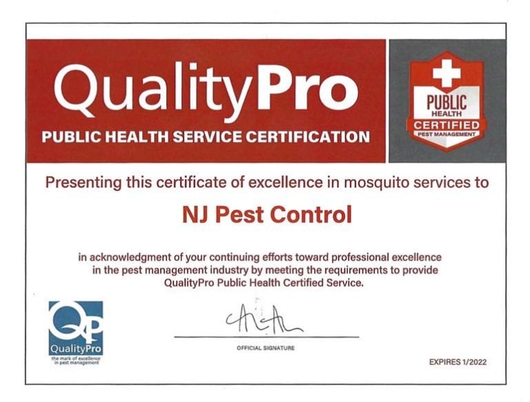 About Us | Environmentally Friendly Pest Control | NJ Pest