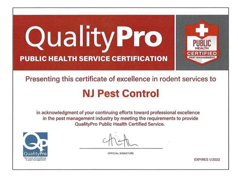 Residential Pest Control | Home Exterminators | NJ Pest